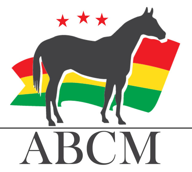Torneo Inicio ABCM – Almendras Producciones